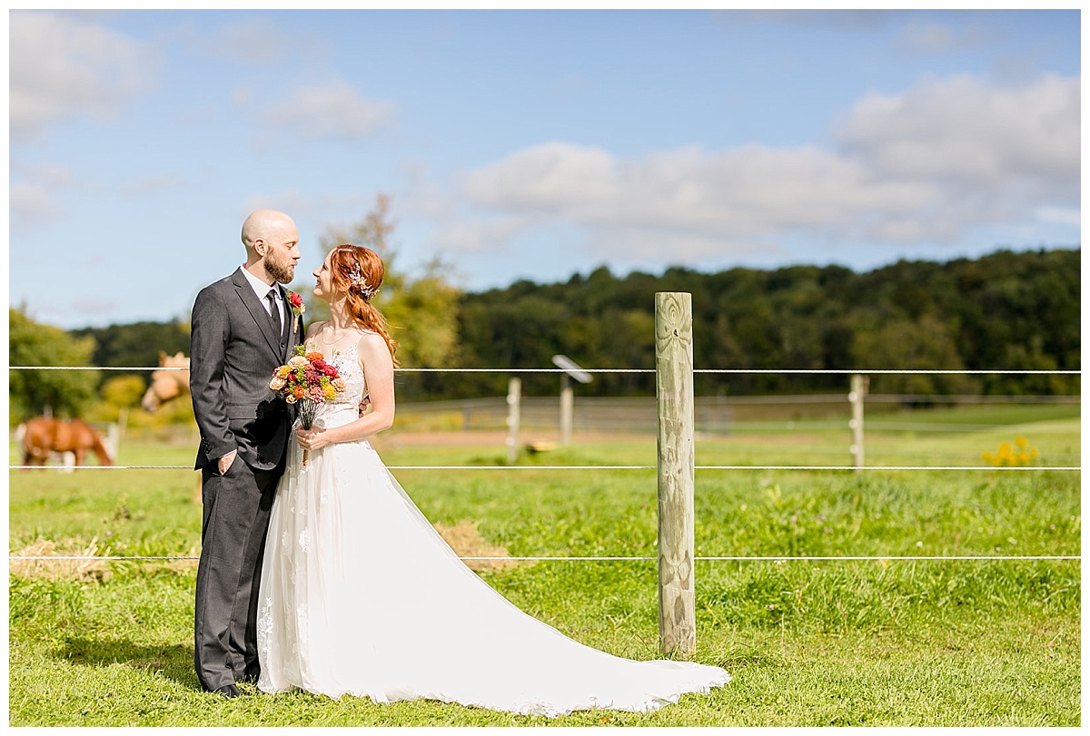 The Root Farm Sauquoit, NY